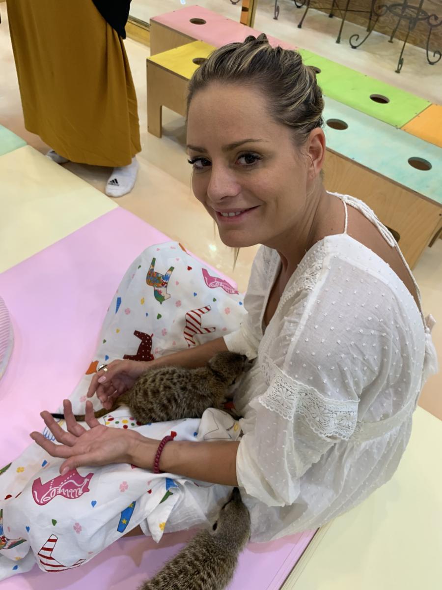 Visiting a Meerkat cafe in Myeong Dong, South Korea