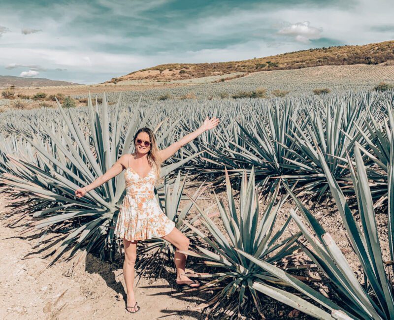 Mezcal tour and tasting in Oaxaca, Mexico - Round The World Rachel